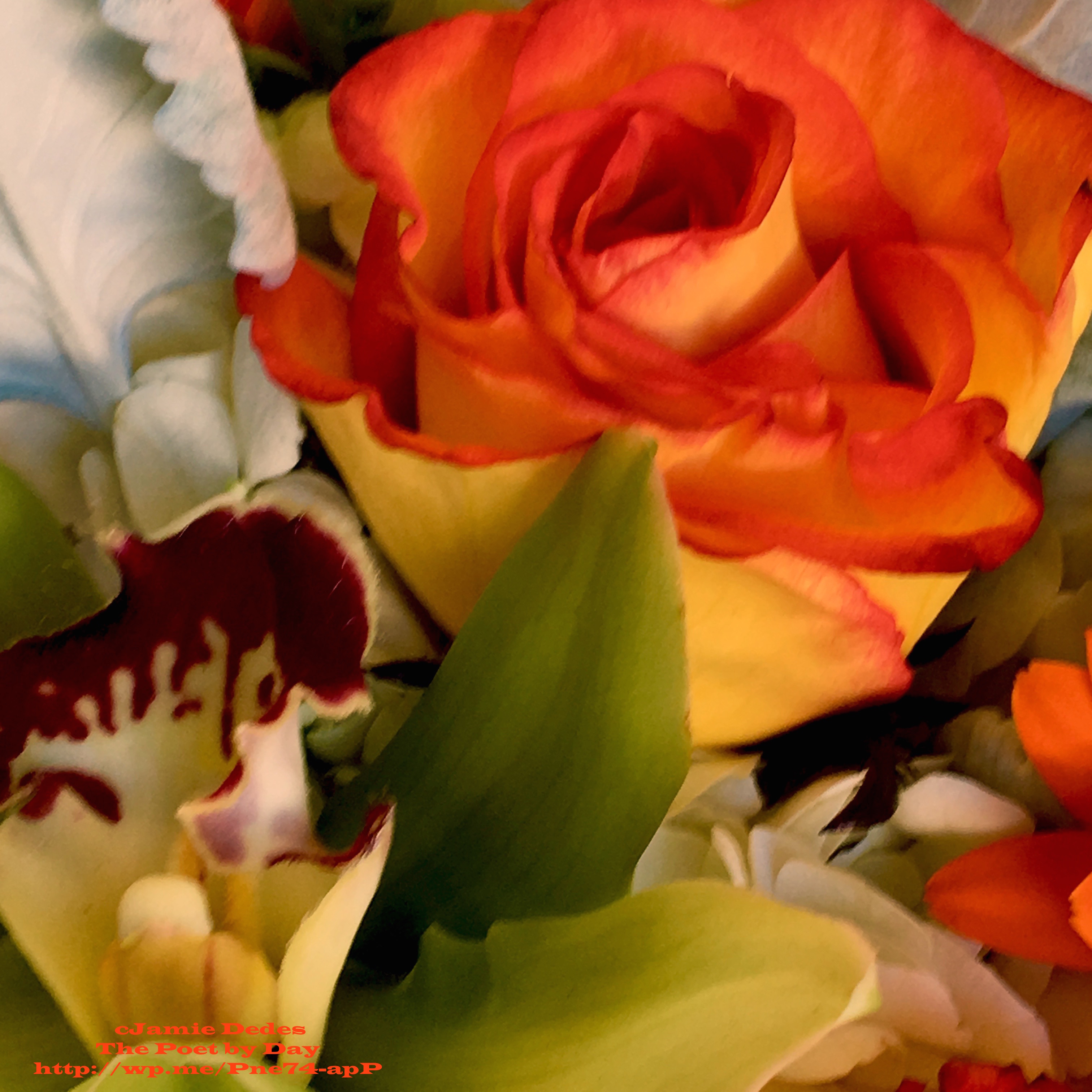 in lieu of flowers, a poem … and your Wednesday Writing Prompt – Jamie ...